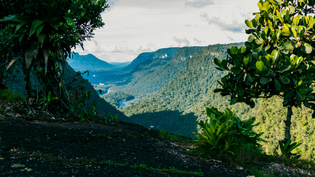 What is COP28 and why is Guyana making a big deal of it? - Climate Tracker
