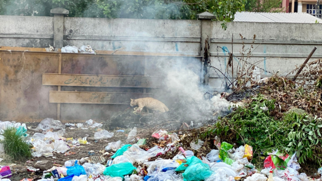 Illegal Burning of Waste At Landfill Sites In Trinidad and Tobago ...