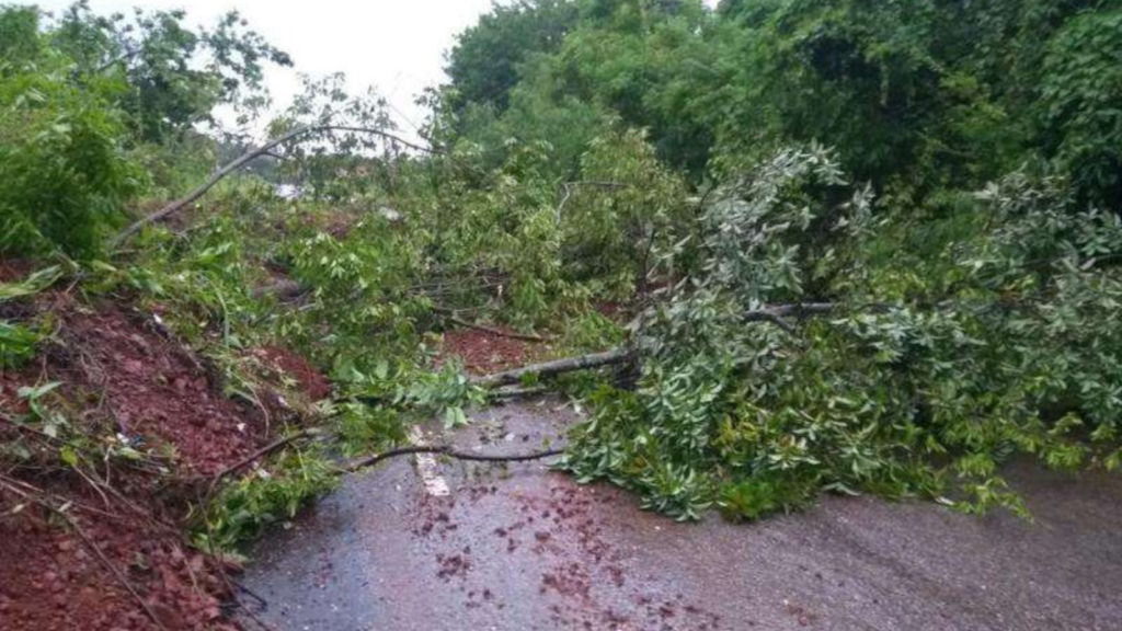 The Impact of Landslides on “Loss and Damage” in the Caribbean ...