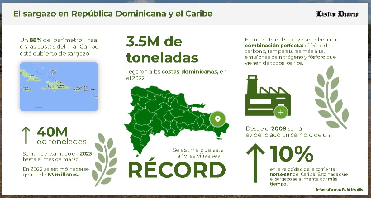 Transforming sargassum: From animal feed to building blocks and fuel ...